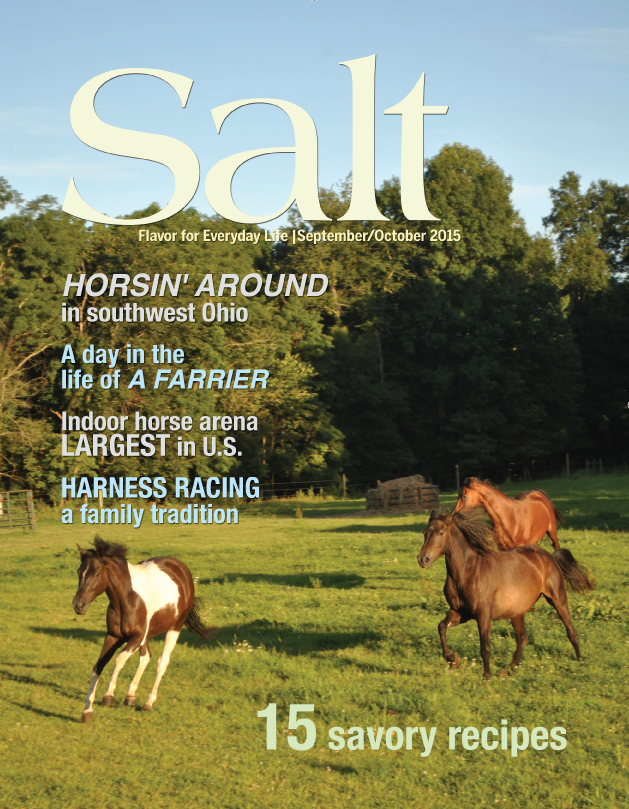 Salt September/October 2015 | News Democrat