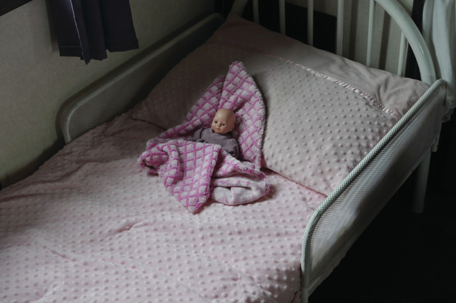 The Amish CookBy Gloria Yoder | News Democrat