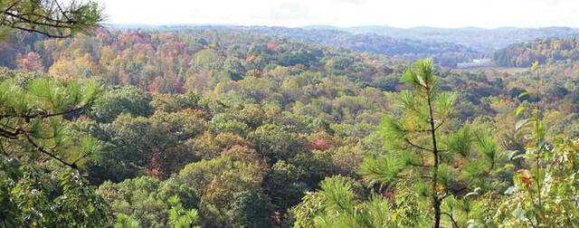 Expanded conservation, park improvements, and new play areas | News ...