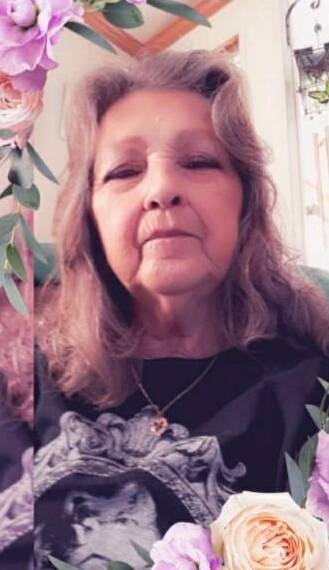 Diane Susan McAfee, 73 | News Democrat